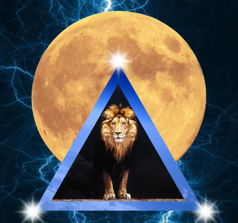 Feb 1st ~ Leo Full Moon: Opens the Eclipse Gate - Shannon Lei Gill
